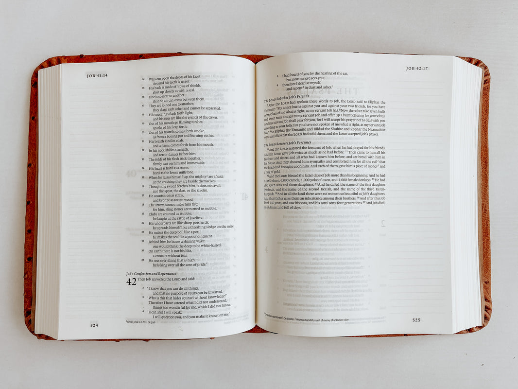 Ostrich Leather Soft Bound Bibles – Wheat and Honey Co.